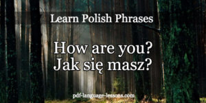 For Polish Learners: 18 Awesome Ways to Say Hello in Polish