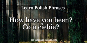 For Polish Learners: 18 Awesome Ways to Say Hello in Polish