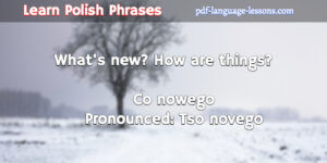 Polish Lesson: 12 Ways to Ask How Are You in Polish
