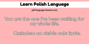 Learn Polish: 12 Wonderful Ways to Ask Marry Me In Polish