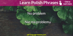 Learn Polish: 23 Useful Polish Phrases for Everyone