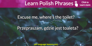 Learn Polish: 23 Useful Polish Phrases for Everyone