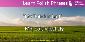 Learn Polish: 23 Useful Polish Phrases for Everyone