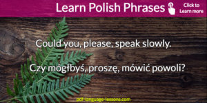Learn Polish: 23 Useful Polish Phrases for Everyone
