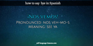 How to Say Bye in Spanish - 15+ Unique Ways (Audio)