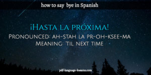 How to Say Bye in Spanish - 15+ Unique Ways (Audio)