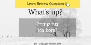 Learn 14 Basic Hebrew Questions. Answers & Translations