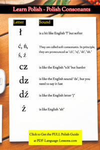 How To Learn Polish: The Ultimate Learning Guide For Beginners