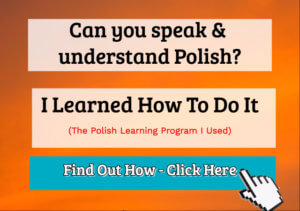 5 Best Polish Textbooks – A List For Beginners