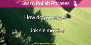 Learn Polish: 23 Useful Polish Phrases for Everyone