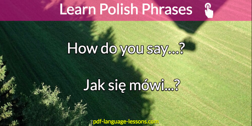 Learn Polish: 23 Useful Polish Phrases for Everyone