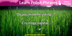 Learn Polish: 23 Useful Polish Phrases for Everyone