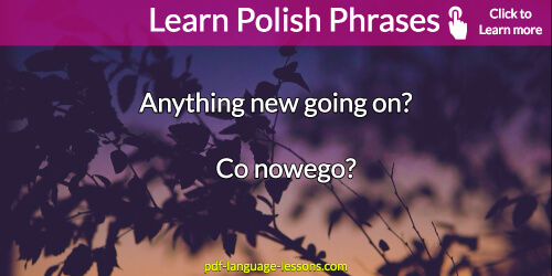 Learn Polish: 23 Useful Polish Phrases for Everyone
