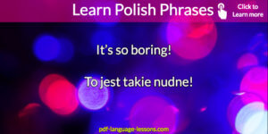 Learn Polish: 23 Useful Polish Phrases for Everyone