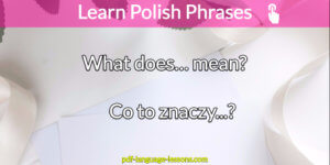 Learn Polish: 23 Useful Polish Phrases for Everyone