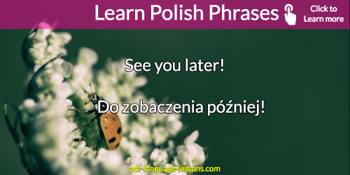 Learn Polish: 23 Useful Polish Phrases for Everyone