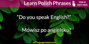 Learn Polish: 23 Useful Polish Phrases for Everyone
