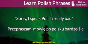 Learn Polish: 23 Useful Polish Phrases for Everyone