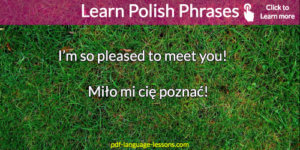 Learn Polish: 23 Useful Polish Phrases for Everyone