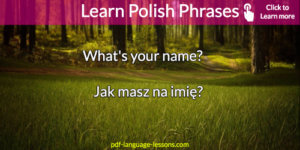 Learn Polish: 23 Useful Polish Phrases for Everyone