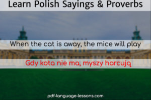 Learn Top 10+ Polish Sayings & Proverbs - Part 1 (Audio Inside)