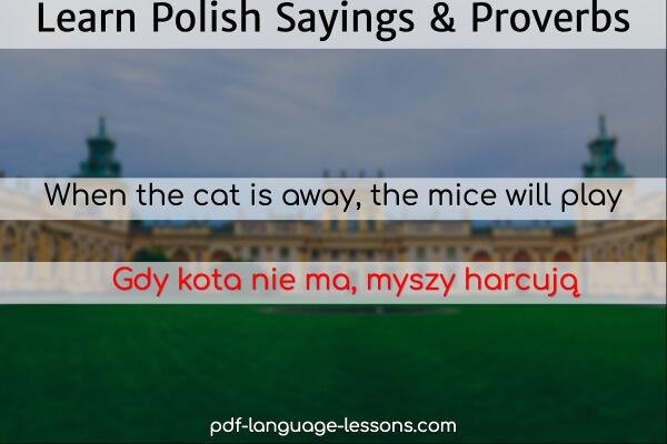 Learn Top 10+ Polish Sayings & Proverbs - Part 1 (Audio Inside)