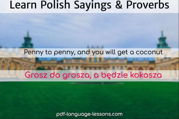 Learn Top 10+ Polish Sayings & Proverbs - Part 1 (Audio Inside)