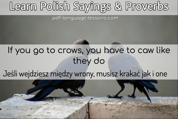 Learn Top 10+ Polish Sayings & Proverbs - Part 1 (Audio Inside)