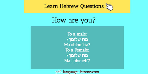 Learn 14 Basic Hebrew Questions. Answers & Translations